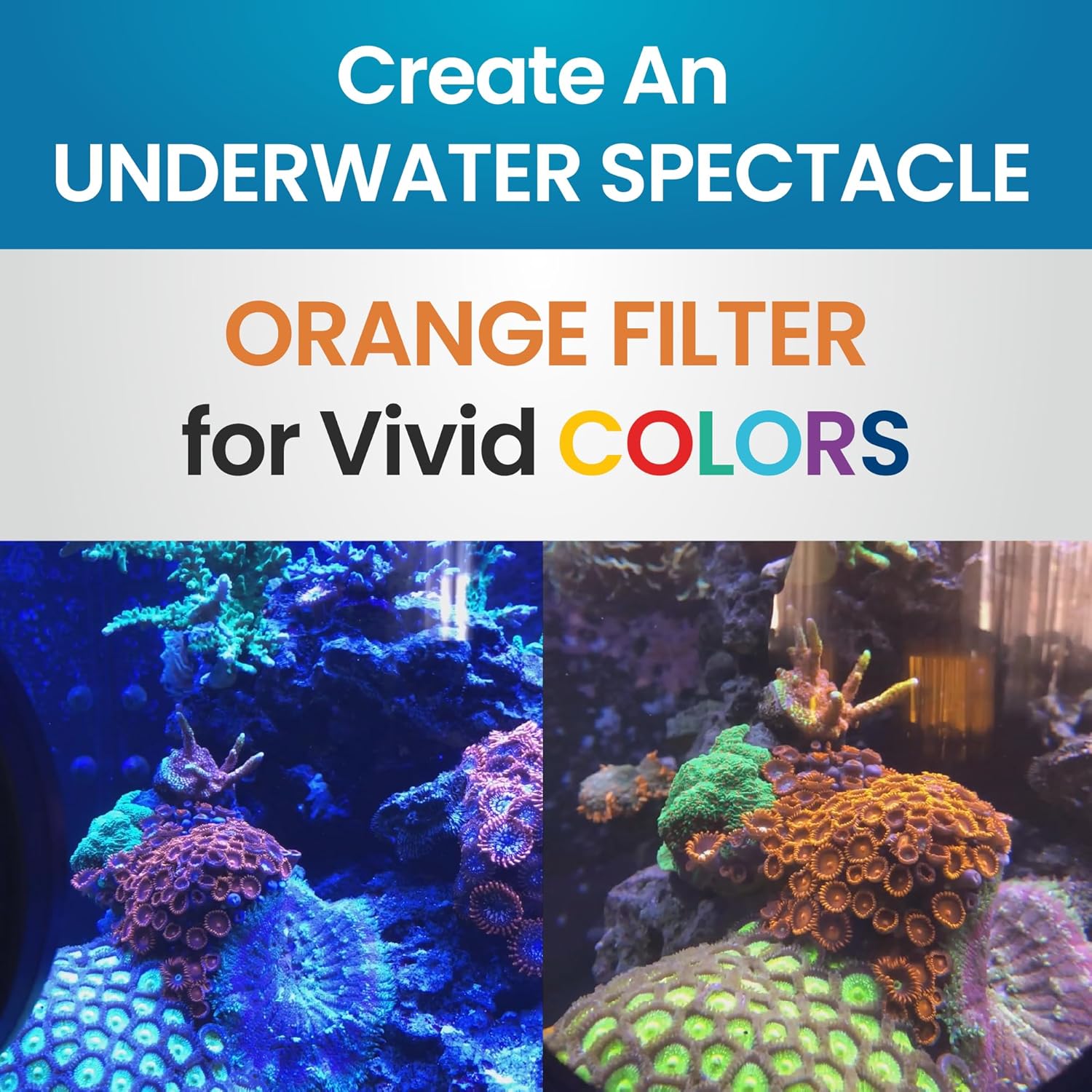 DeepSee Viewer Clear 4" - Orange Filter – Flipper Aquarium Products