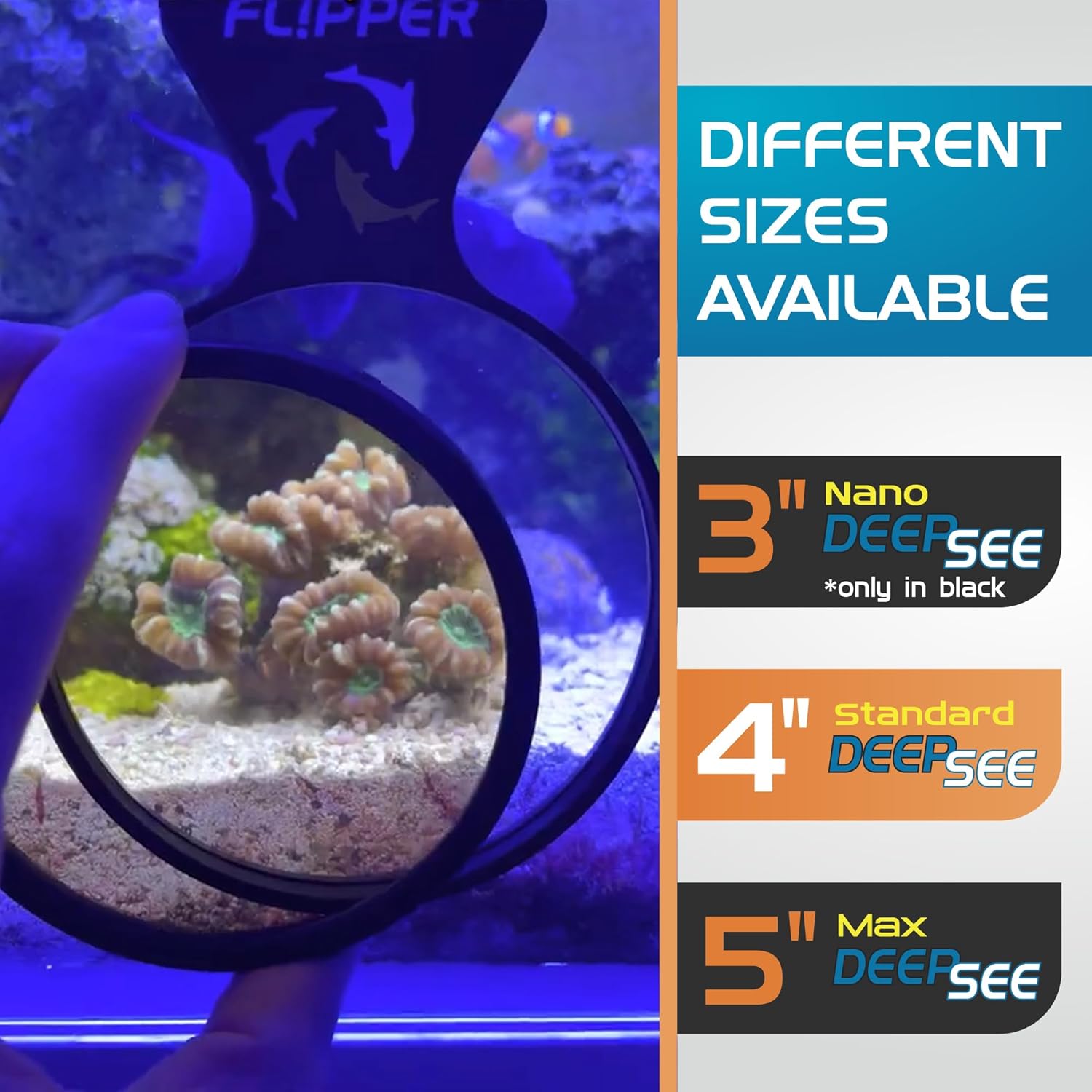 magnify fish