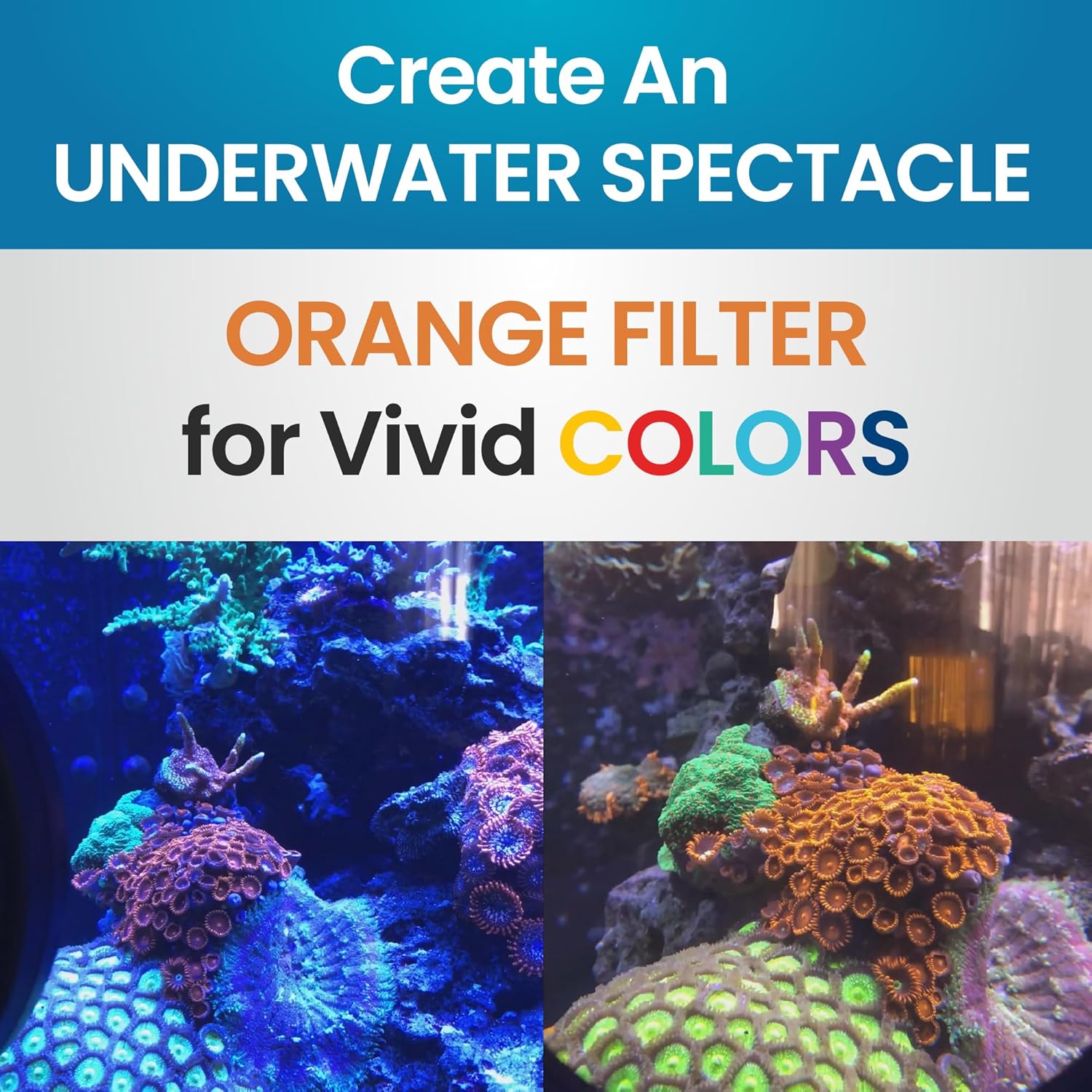 Flipper Flip-Kick Phone Filter Aquarium Reef Lens with Orange and Yell ...