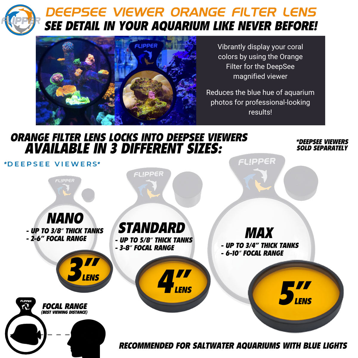 Beach Underwater Viewer Flipper Aquarium Top Down Viewer - Underwater ...